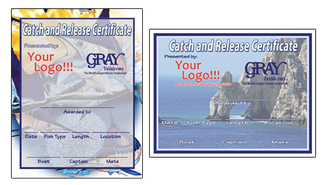 Gray Taxidermy Newsletter May 2013
